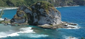 CNMI – U.S. All Islands Coral Reef Committee